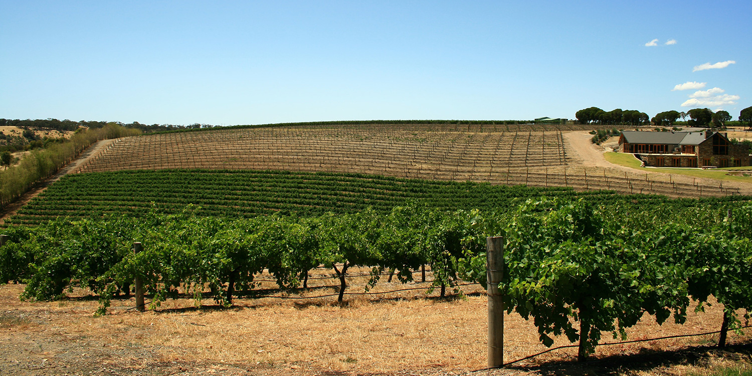 Ultimate list of Australian wine destinations | SIXT Car Hire