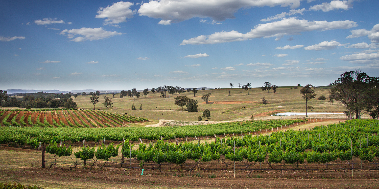 Ultimate list of Australian wine destinations | SIXT Car Hire