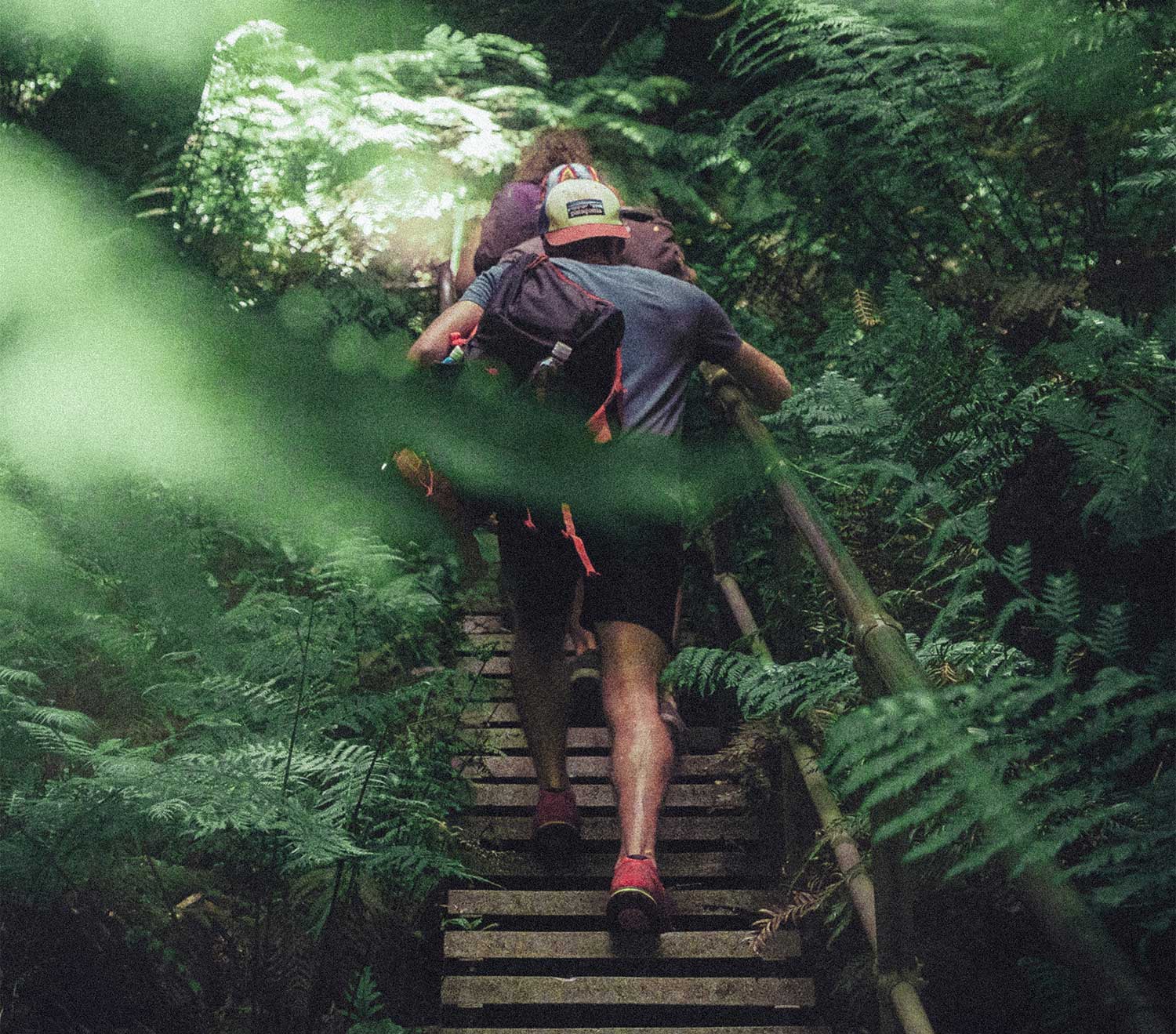 Get Lost on the Greater Blue Mountains Drive - SIXT Australia