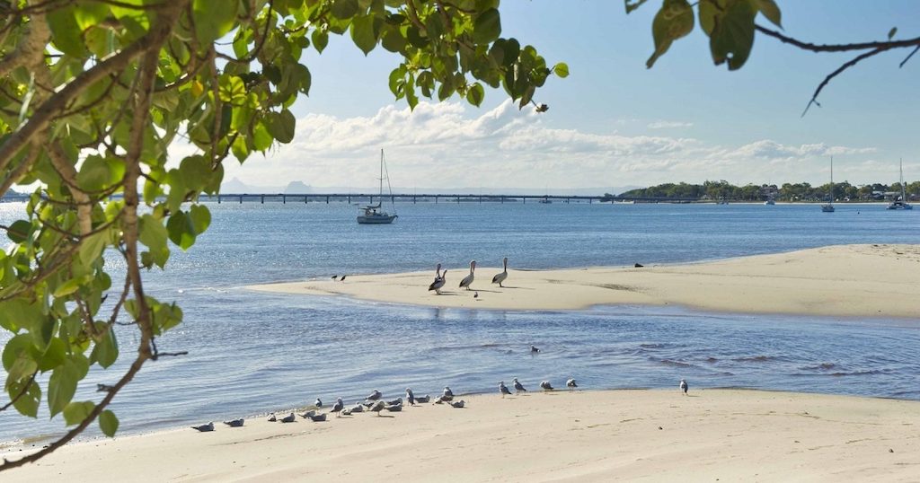 5 Unmissable Day Trips from Brisbane - Sixt Car Rental